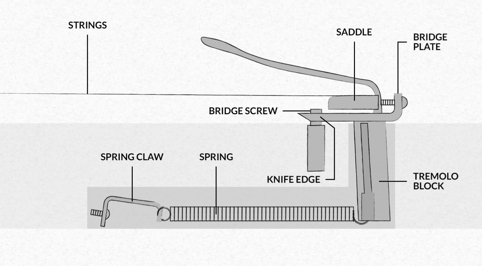 Demystifing the trem: How to set up your floating tremolo - gearnews.com