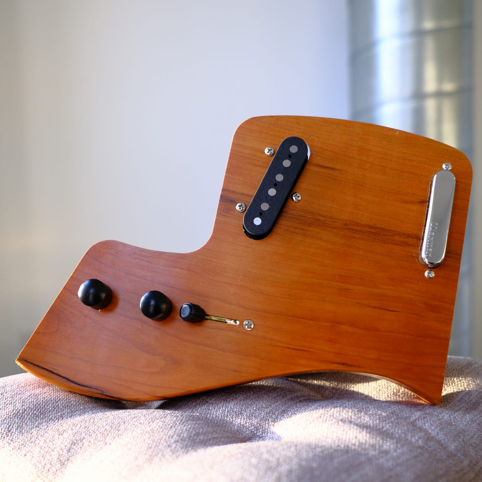 Fern Guitars' the Phoenix - An all wood modular guitar system ...