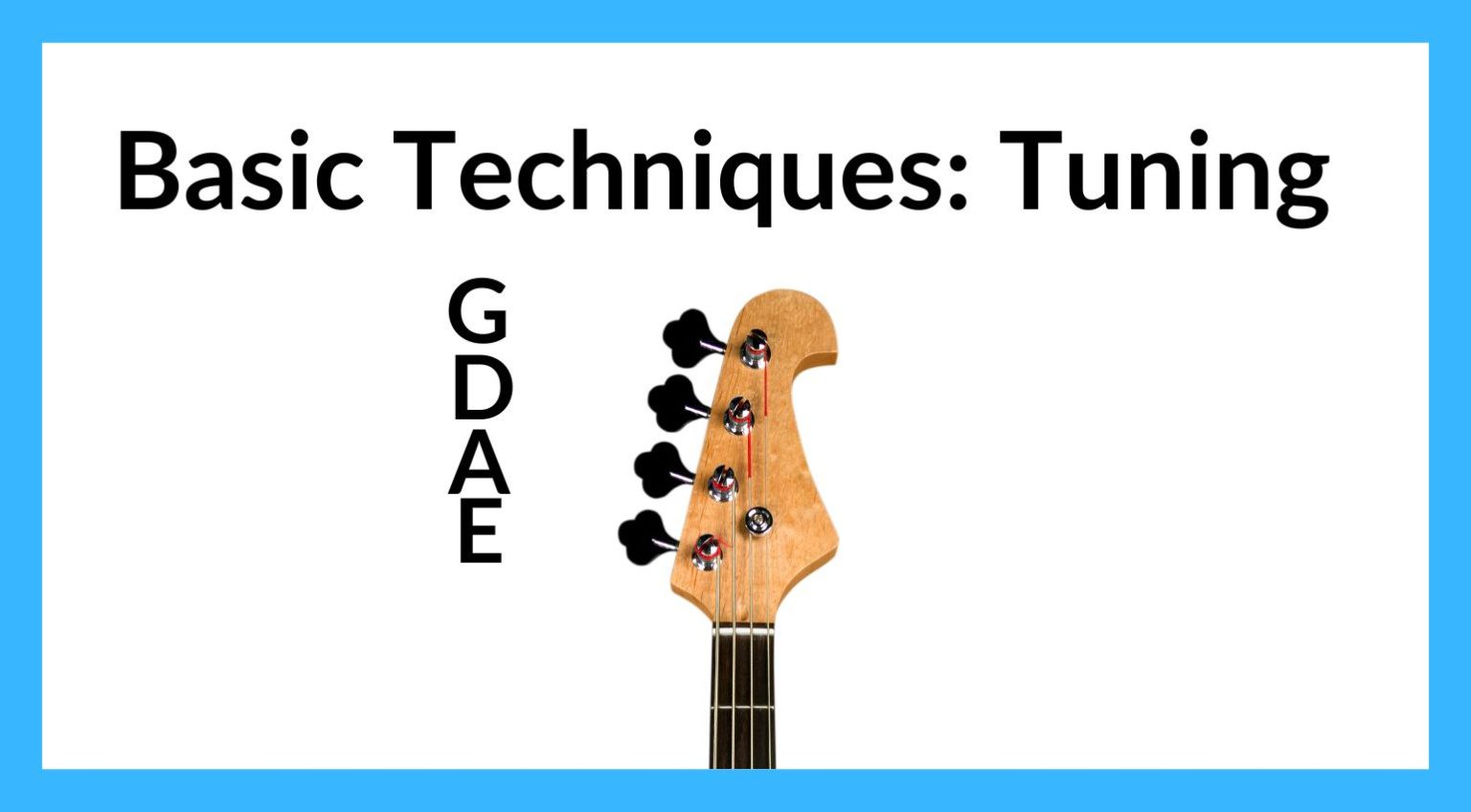 Beginner Bass Guide: Getting into the groove