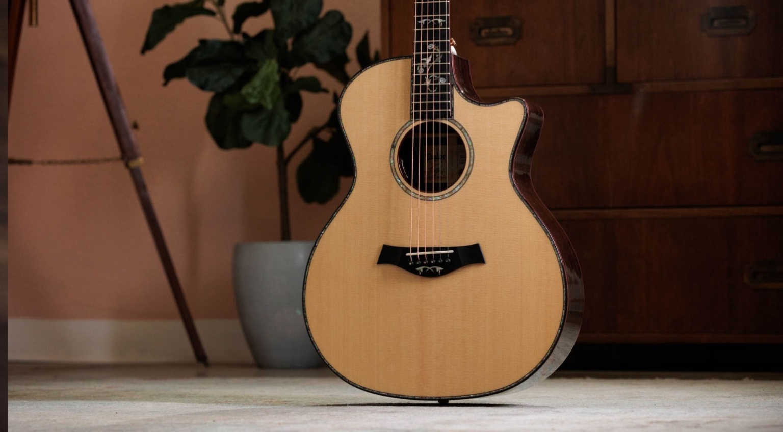 Taylor Legacy 914ce: The Grand Auditorium is Back! - gearnews.com